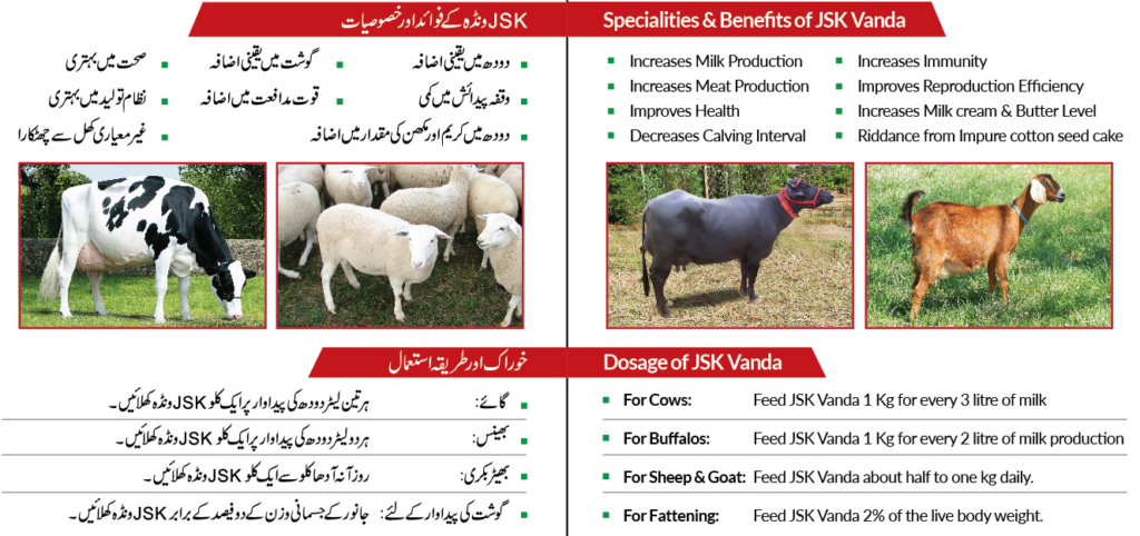 JSK Ruminant Feed - JSK Feeds Limited